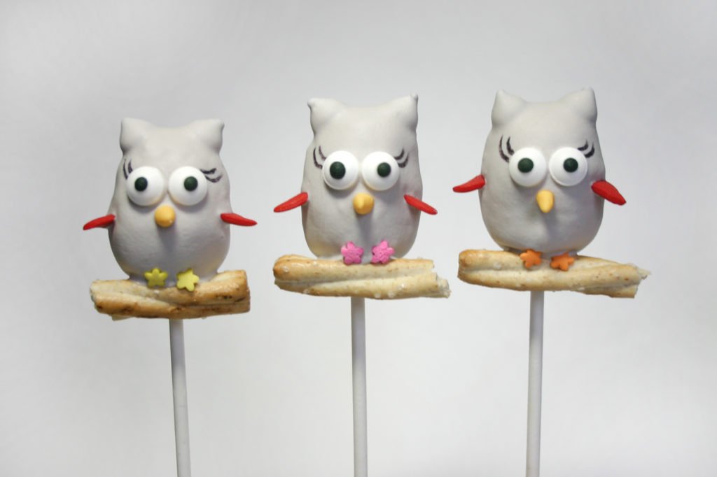 Owl Cake Pops | Nationwide Delivery | 12 Oaks Desserts